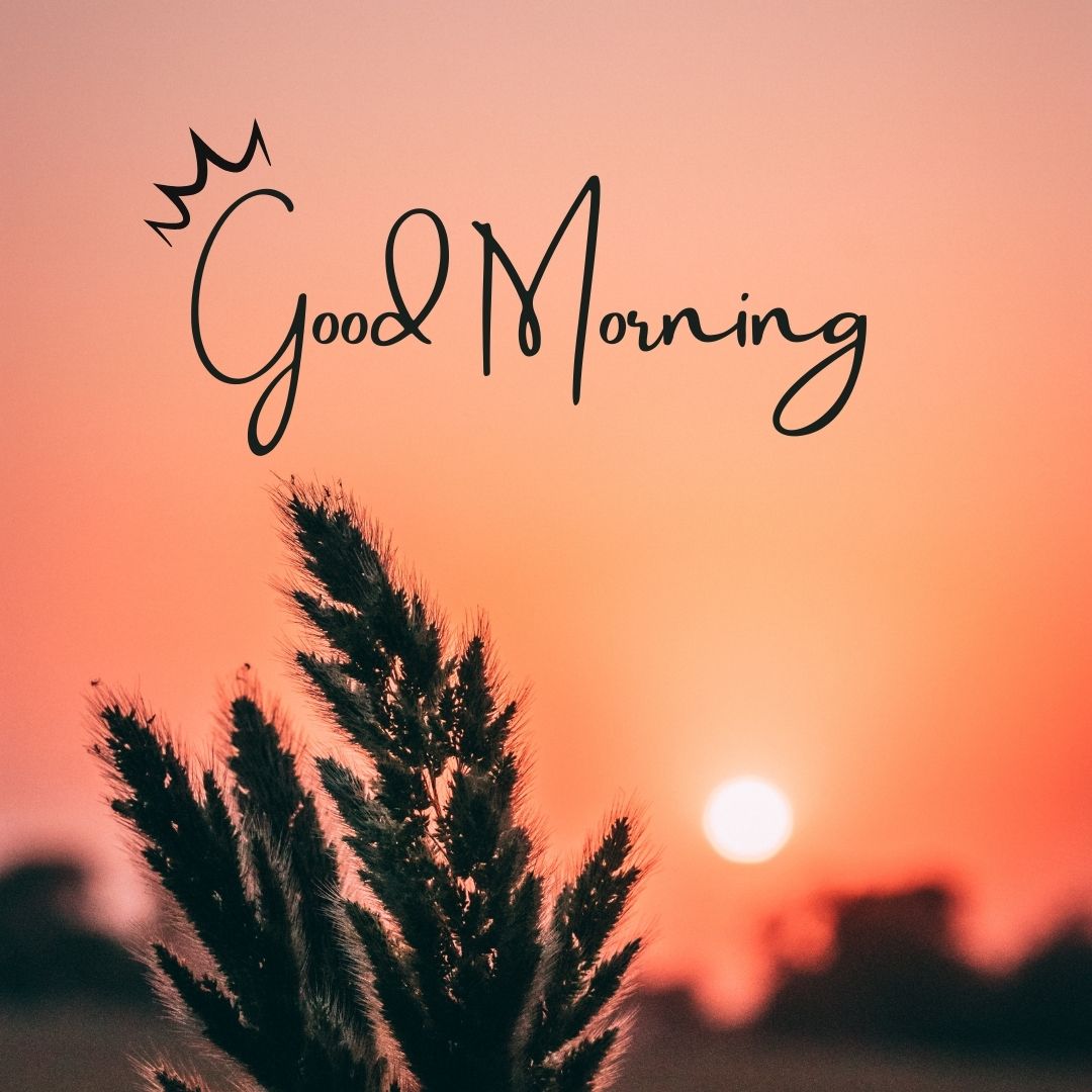 Heart-Stopping Sunrise Good Morning With Nature Images That'll Make ...