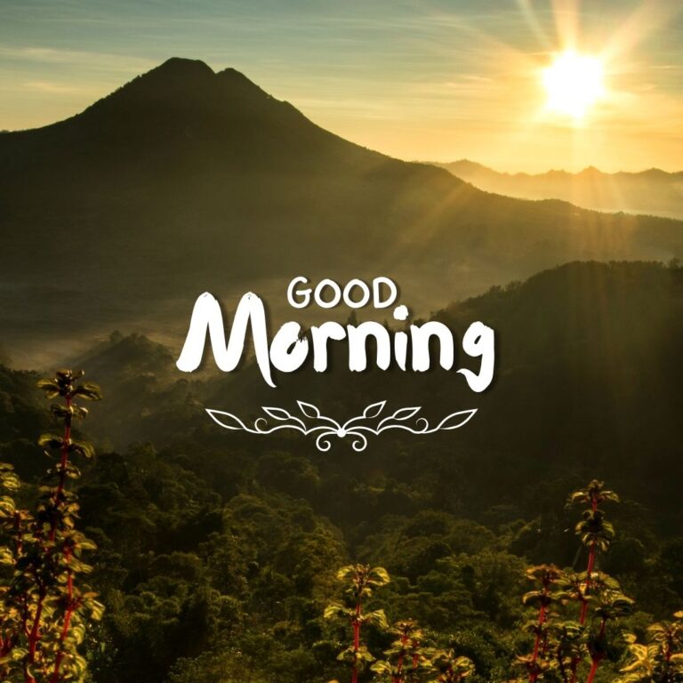 Heart-Stopping Sunrise Good Morning With Nature Images That'll Make ...