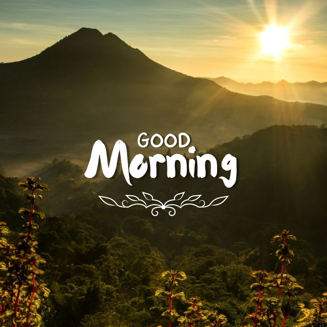 Heart-Stopping Sunrise Good Morning With Nature Images That'll Make ...