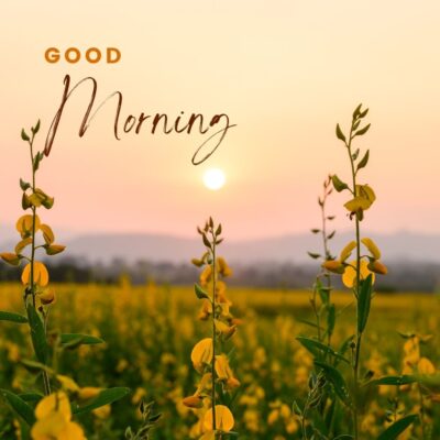 Heart-Stopping Sunrise Good Morning With Nature Images That'll Make ...