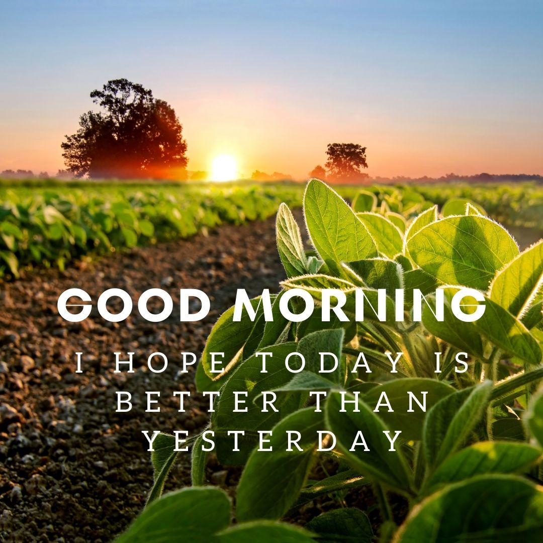 Heart-Stopping Sunrise Good Morning With Nature Images That'll Make ...