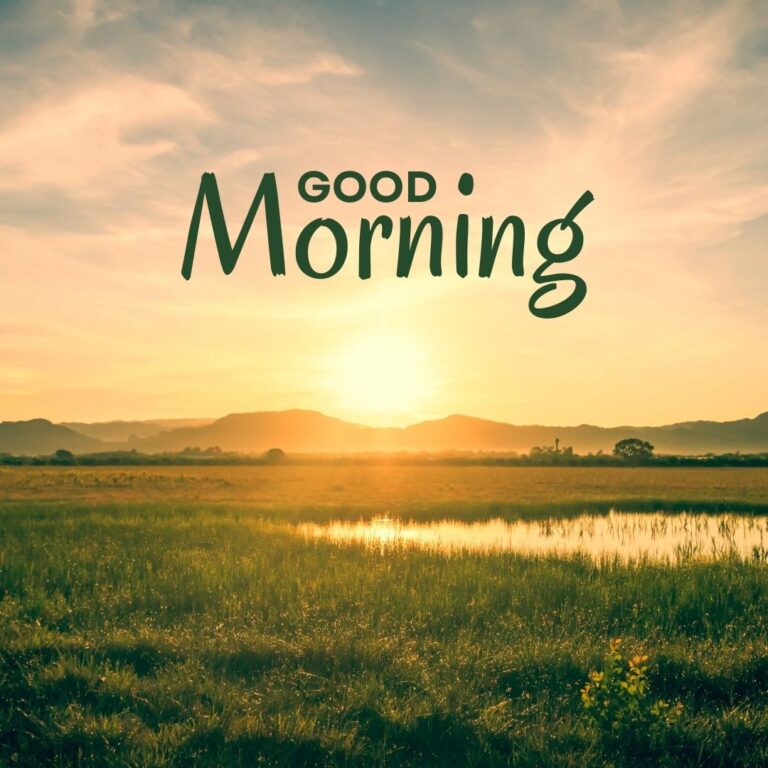Heart-Stopping Sunrise Good Morning With Nature Images That'll Make ...