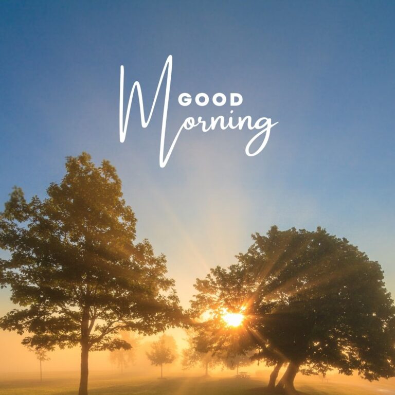 Heart-Stopping Sunrise Good Morning With Nature Images That'll Make ...