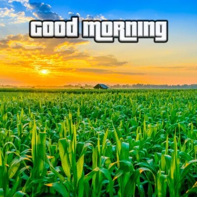 Heart-Stopping Sunrise Good Morning With Nature Images That'll Make ...