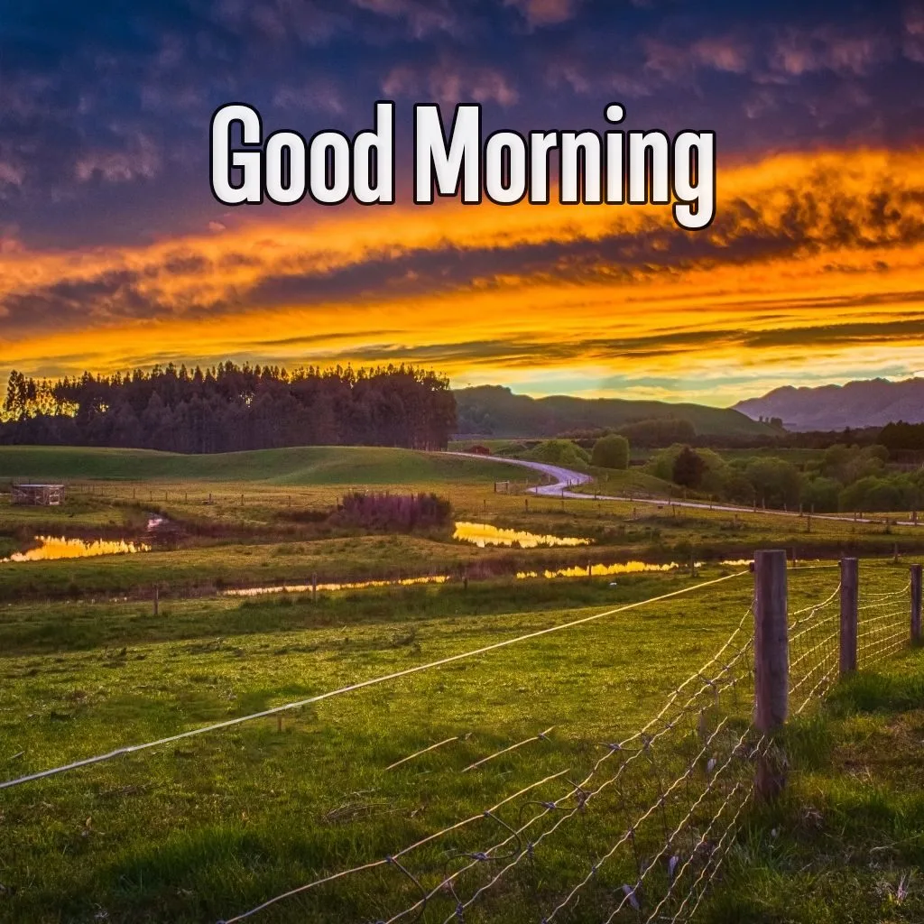 Morning Images Of Nature Free Refreshing Good Morning With Nature
