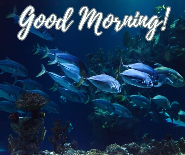 Wake Up To Waves—These Beach Good Morning Sea Images Are Pure Therapy🌊