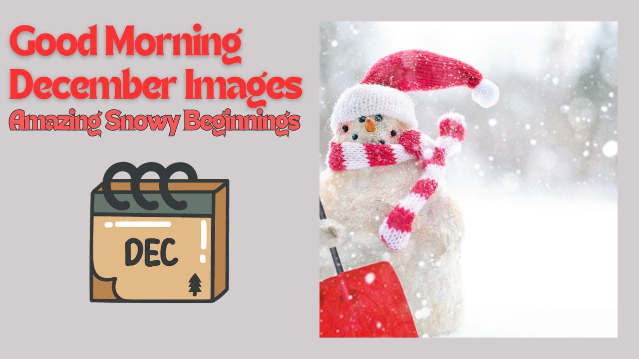100+ Good Morning December Images ️ Snowy, Cozy & Winter Morning Vibes
