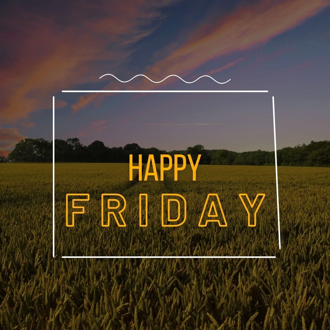 100+ Happy Friday Images 2025 | Funny, Cute & Positive TGIF Pics