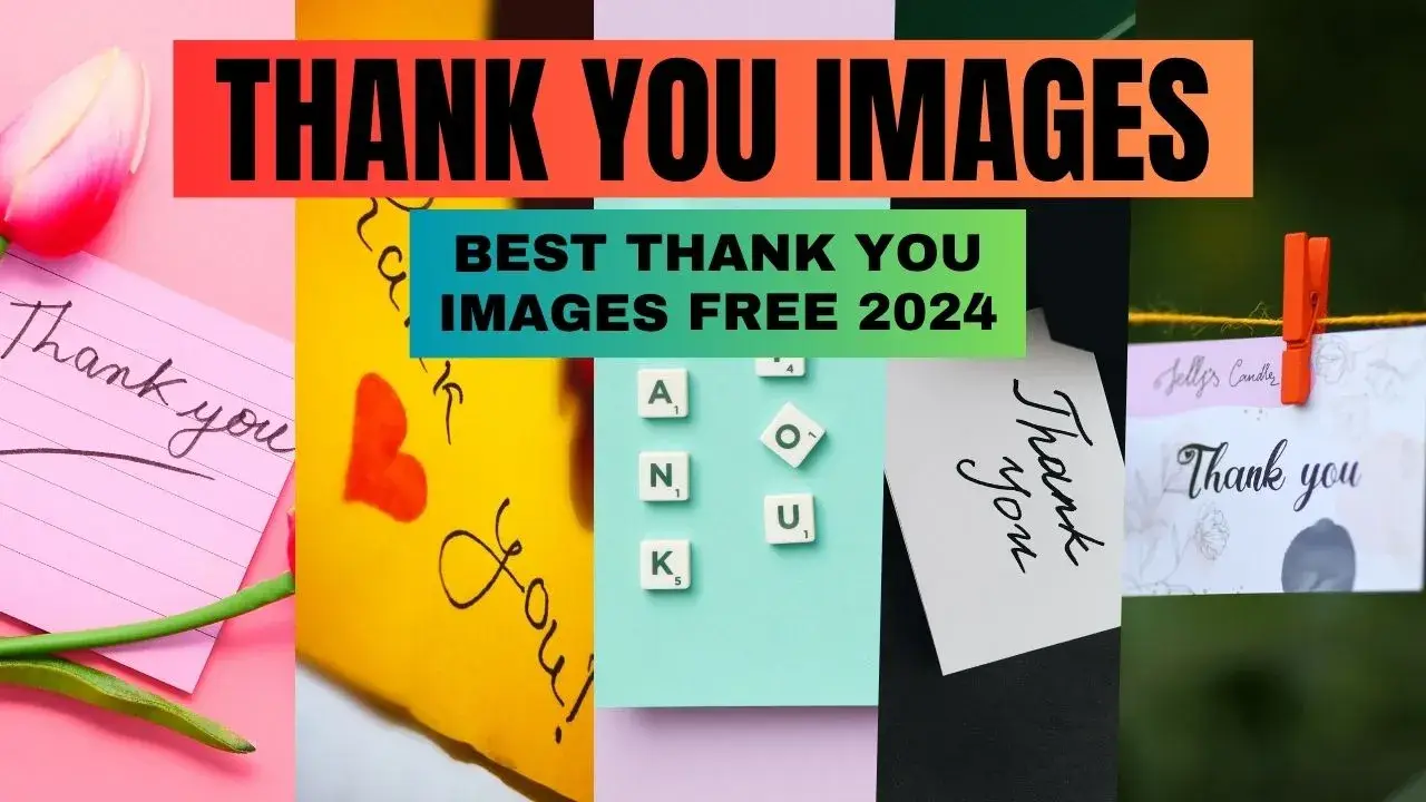 100+ Best Thank You Images To Share Gratitude In A Special Way