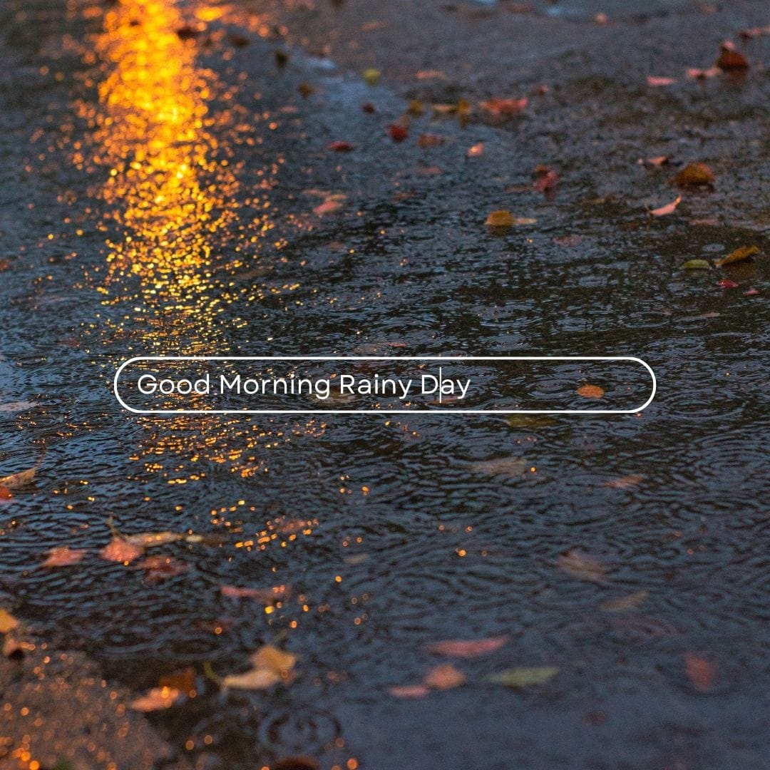 Let The Rain Wash Away Worries With These Peaceful Good Morning Rain ...