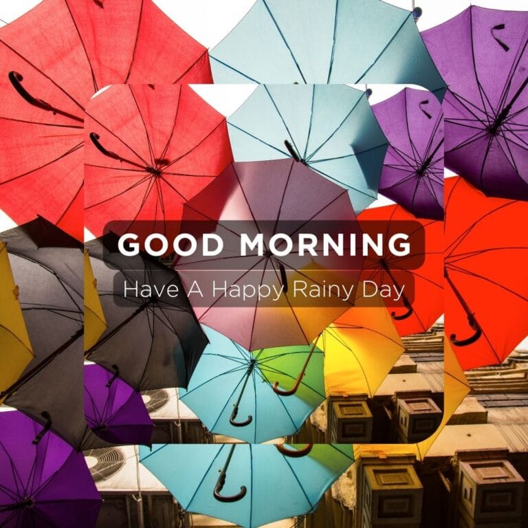 Let The Rain Wash Away Worries With These Peaceful Good Morning Rain ...