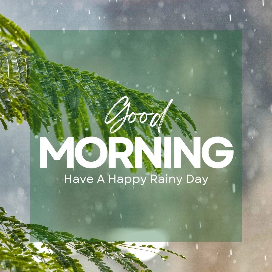 Let The Rain Wash Away Worries With These Peaceful Good Morning Rain ...