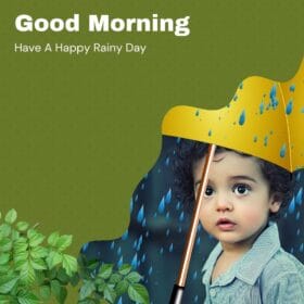 Let The Rain Wash Away Worries With These Peaceful Good Morning Rain ...
