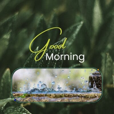 Let The Rain Wash Away Worries With These Peaceful Good Morning Rain ...