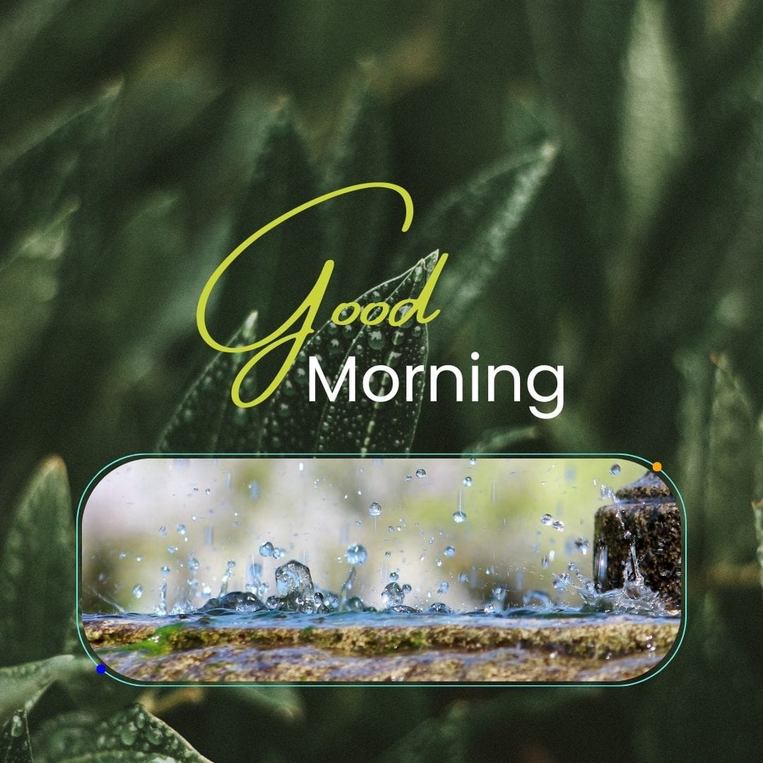 Let The Rain Wash Away Worries With These Peaceful Good Morning Rain ...
