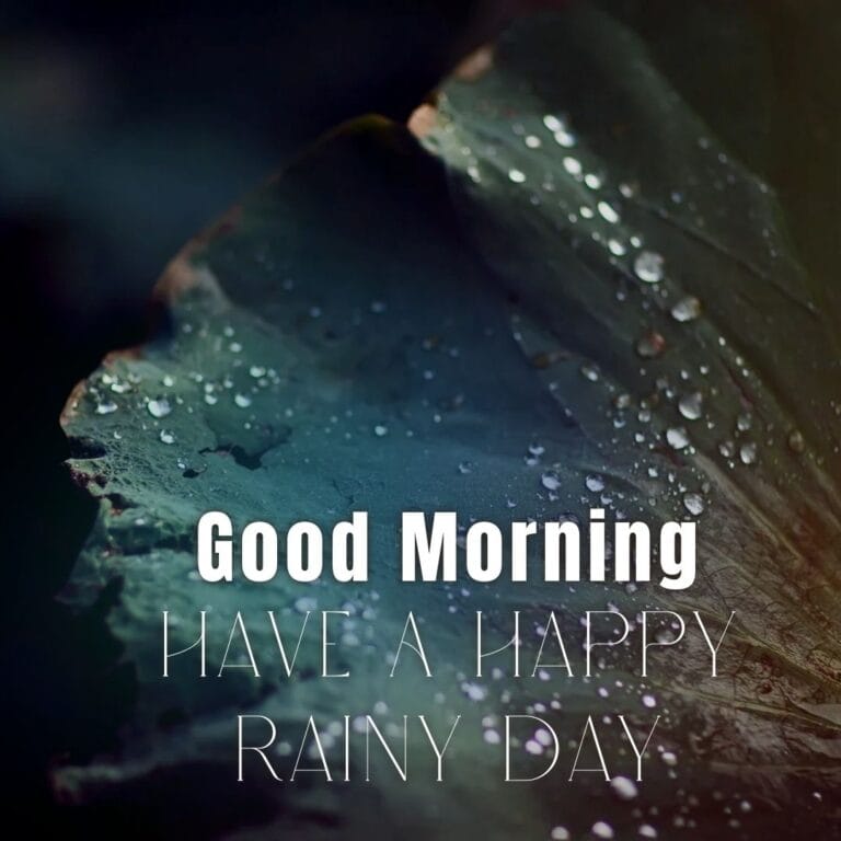 Let The Rain Wash Away Worries With These Peaceful Good Morning Rain ...