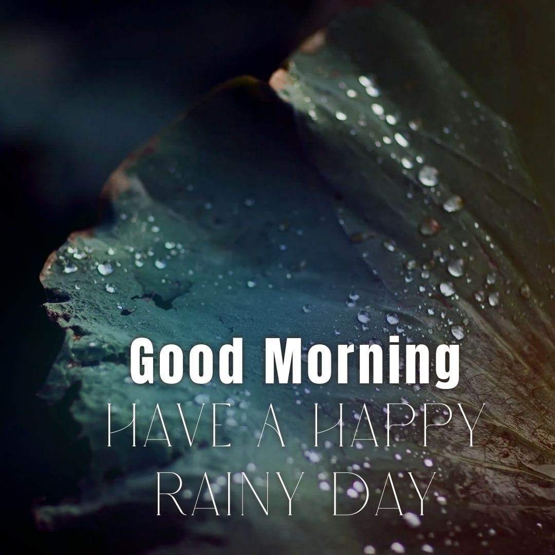 Let The Rain Wash Away Worries With These Peaceful Good Morning Rain ...