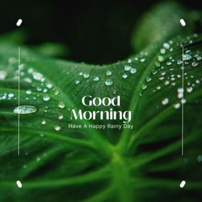Let The Rain Wash Away Worries With These Peaceful Good Morning Rain ...