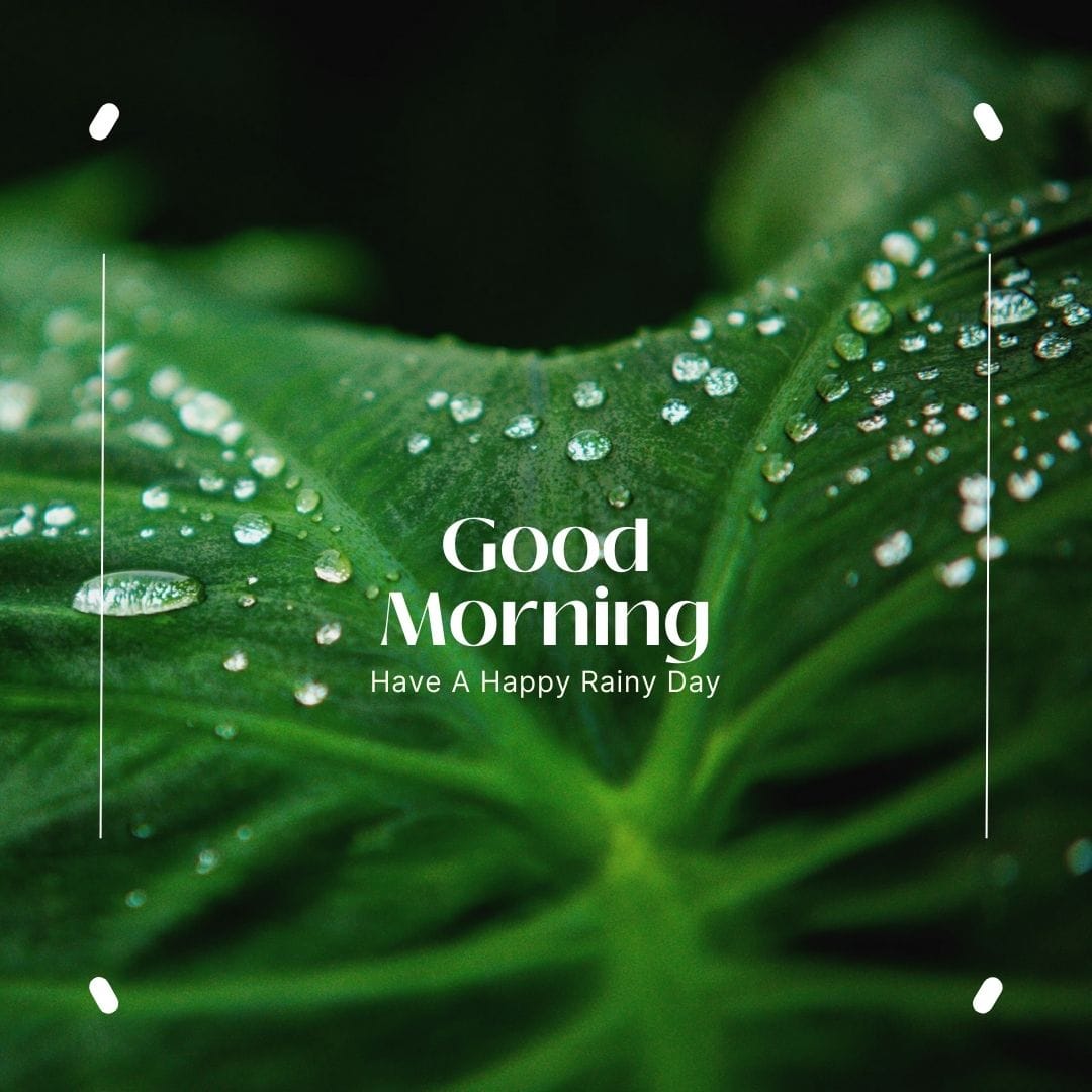 Let The Rain Wash Away Worries With These Peaceful Good Morning Rain ...