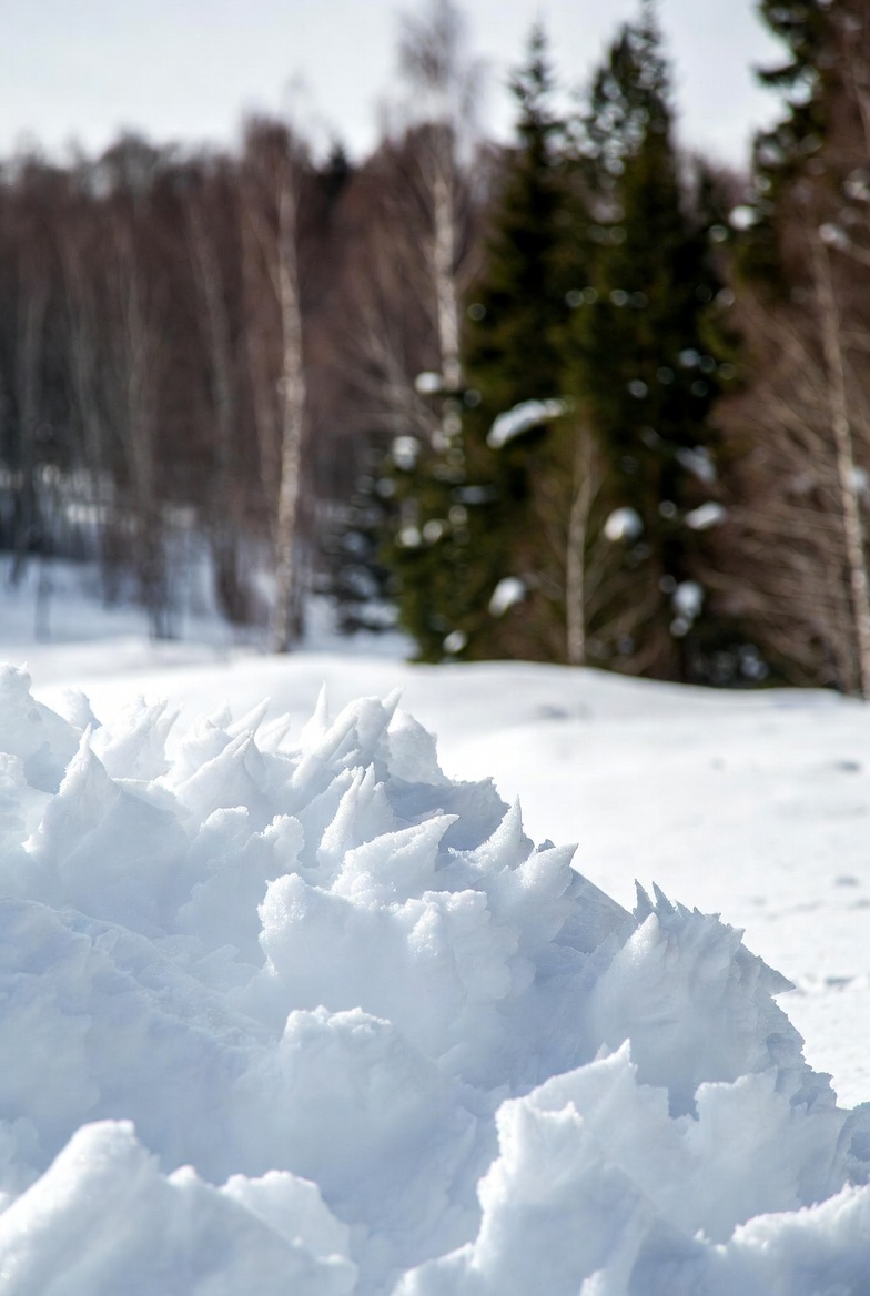 100+ Beautiful Snow Images (2026) – Peaceful Winter Photos, Tracks ...