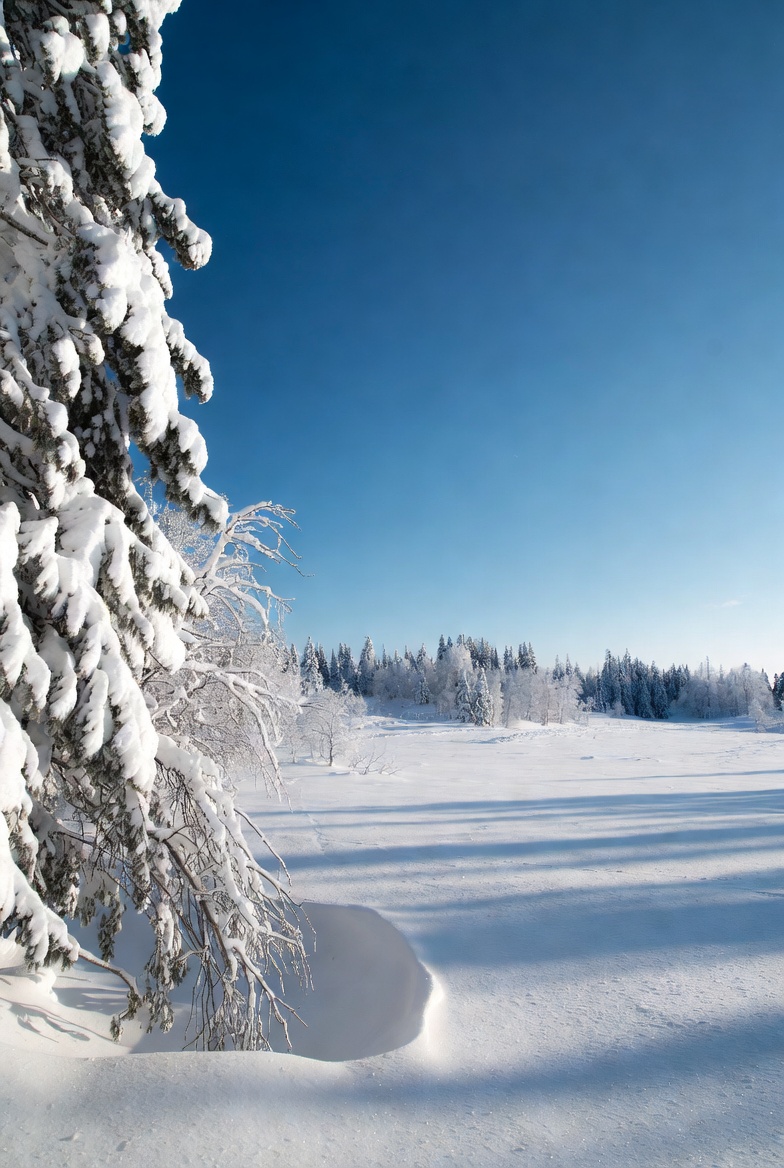 100+ Beautiful Snow Images (2026) – Peaceful Winter Photos, Tracks ...