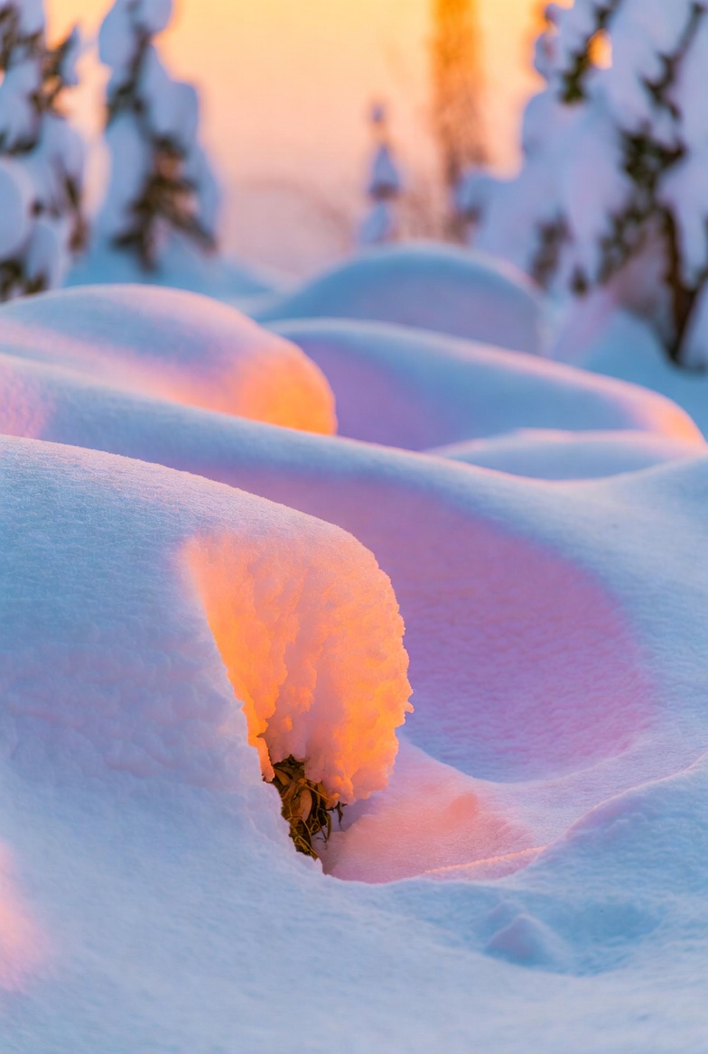 100+ Beautiful Snow Images (2026) – Peaceful Winter Photos, Tracks ...