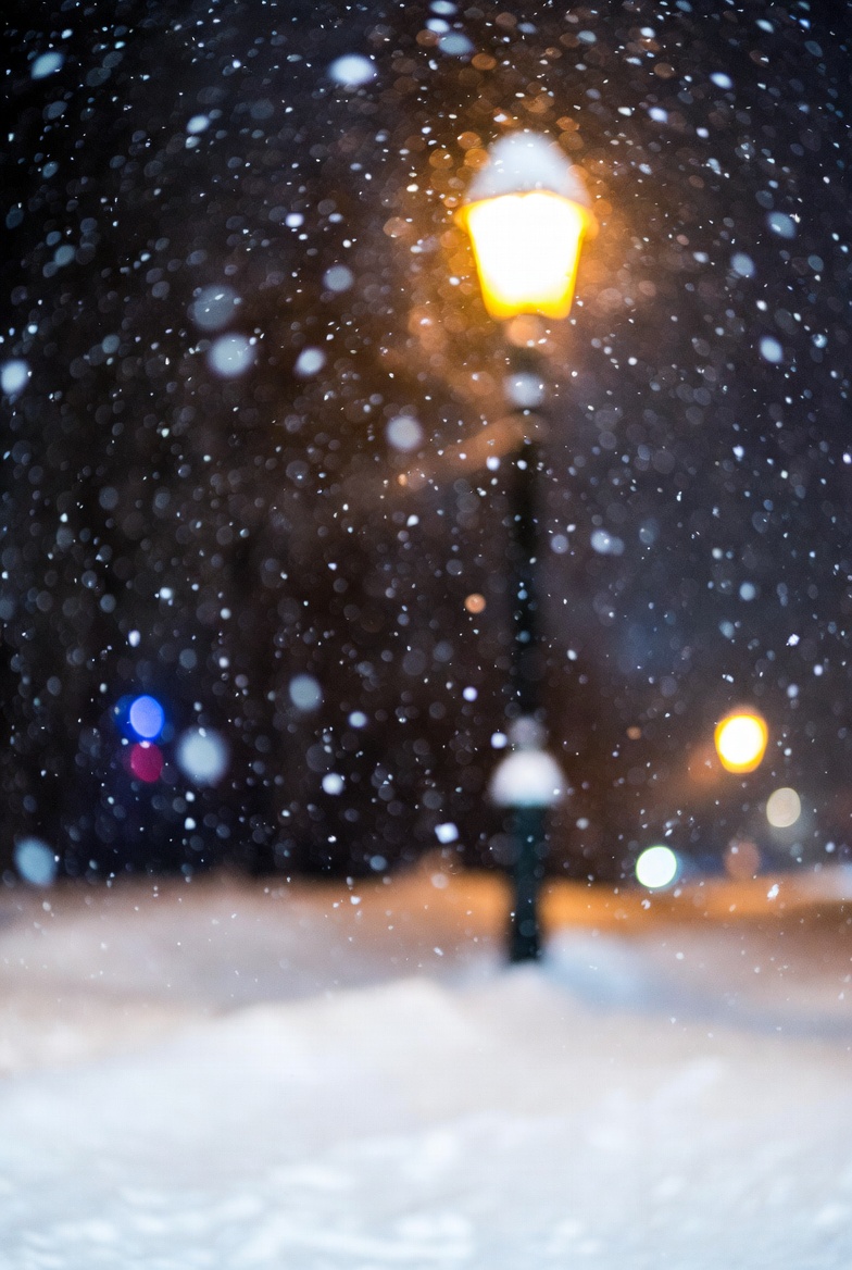 100+ Beautiful Snow Images (2026) – Peaceful Winter Photos, Tracks ...