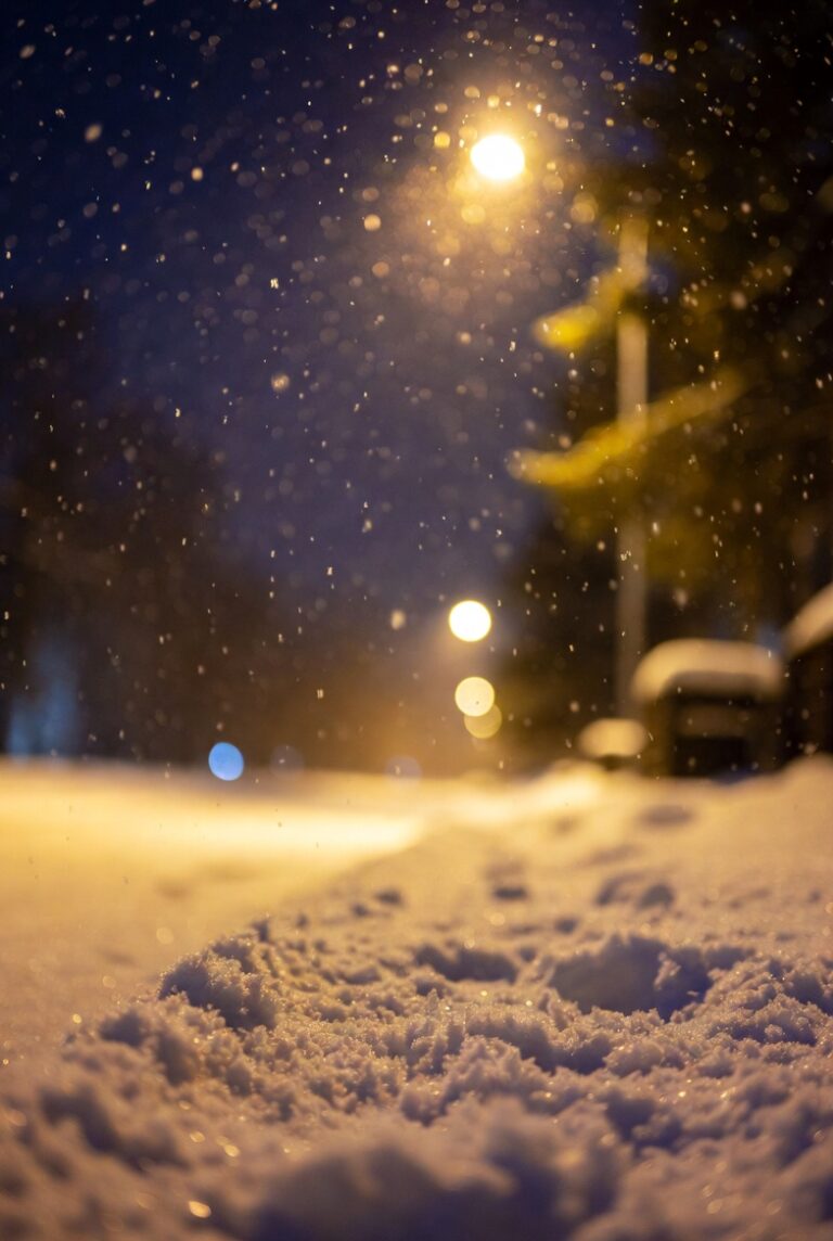 100+ Beautiful Snow Images (2026) – Peaceful Winter Photos, Tracks ...